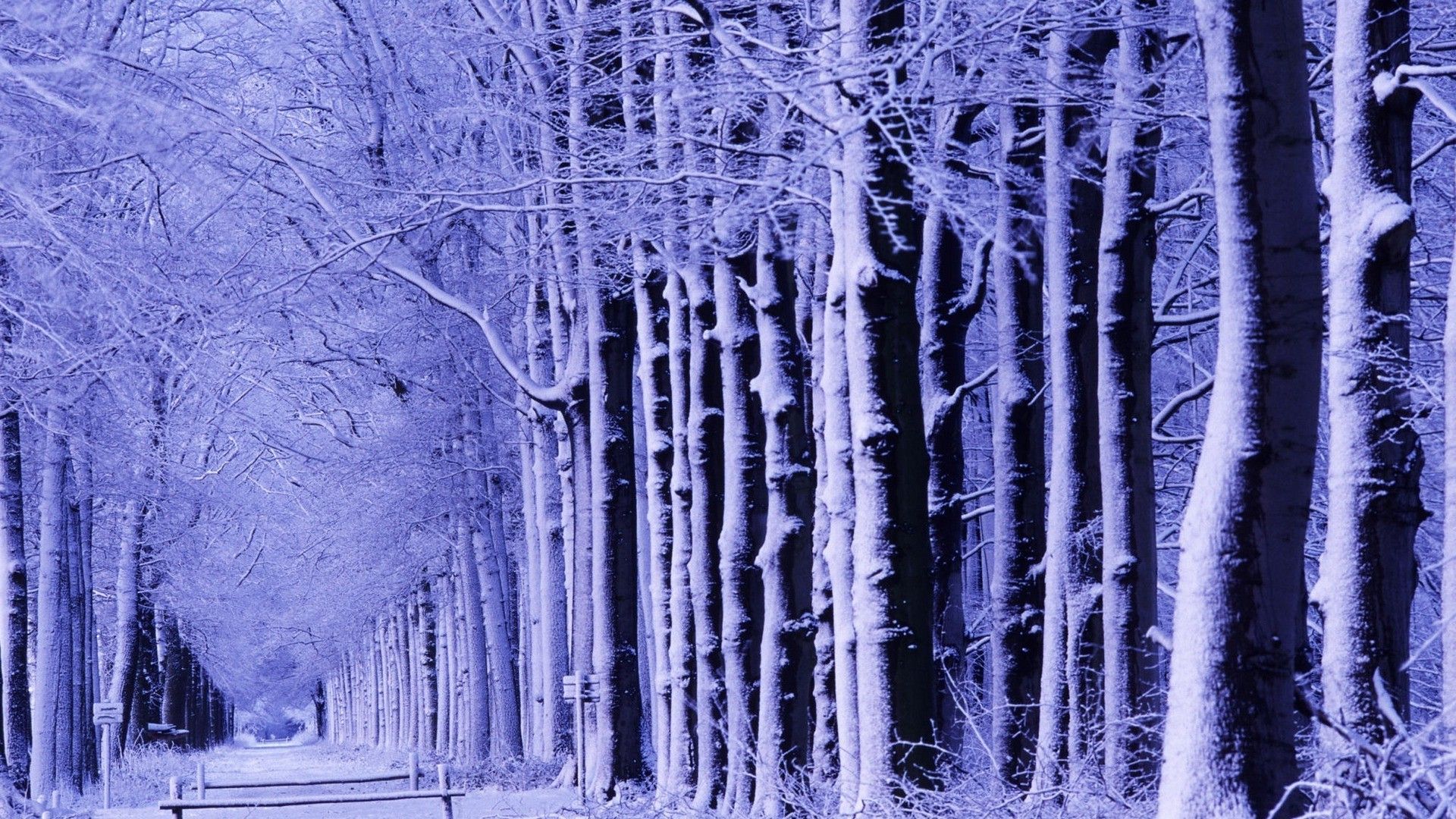 Winter Alley Wallpapers - Wallpaper Cave