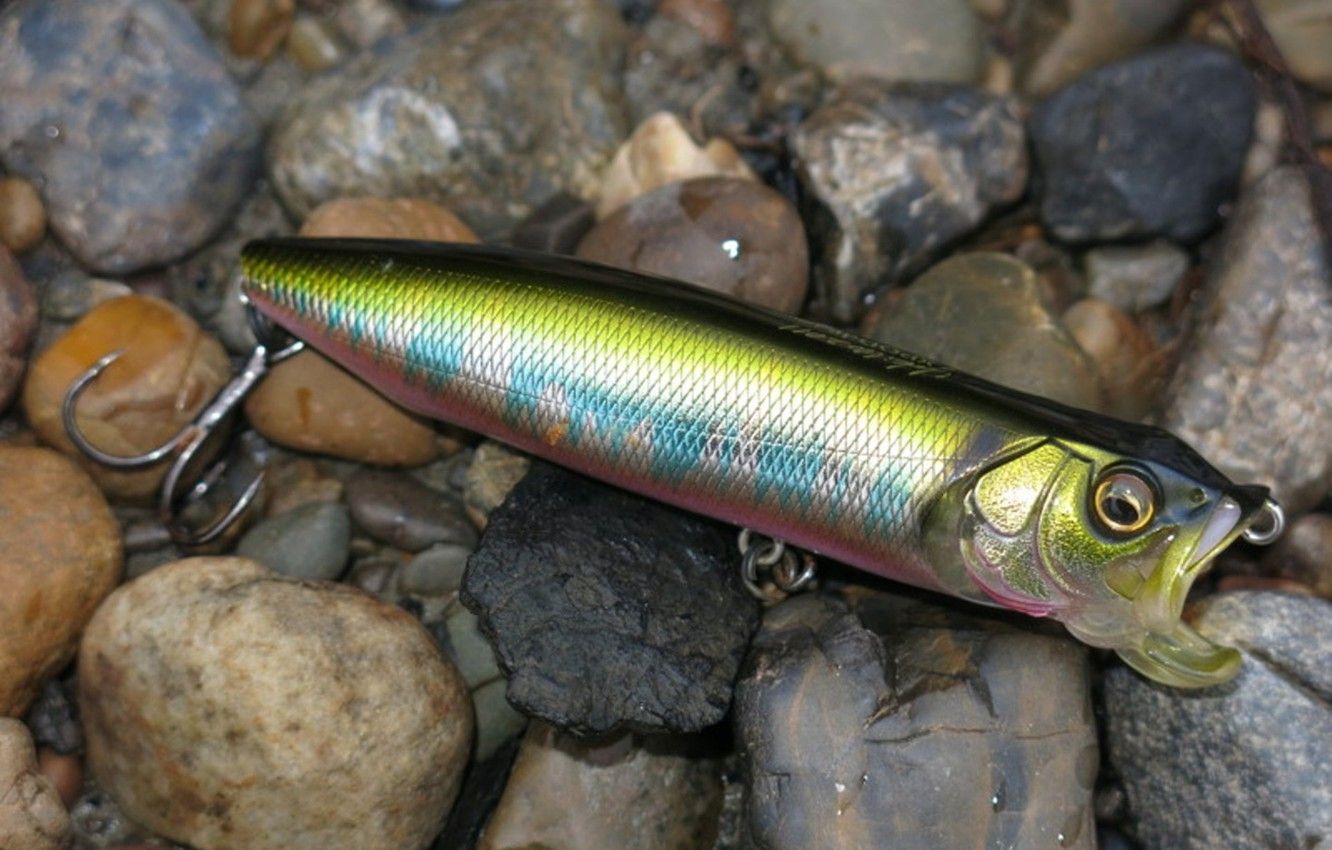 Lure Wallpapers - Wallpaper Cave