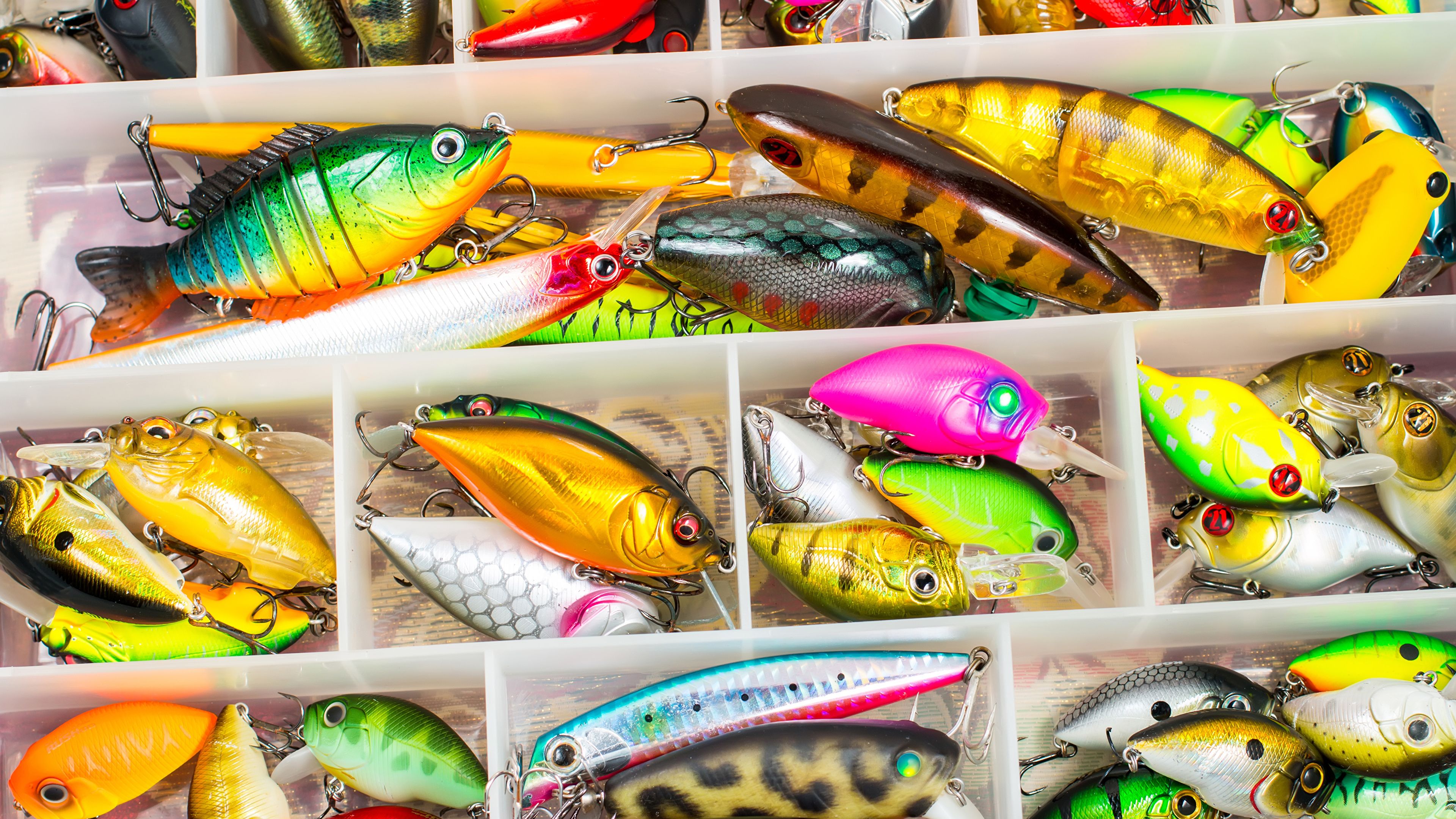 Lure Wallpapers - Wallpaper Cave