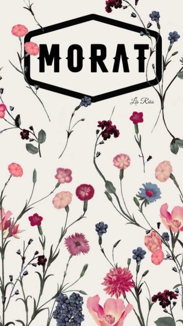 Morat Wallpapers - Wallpaper Cave