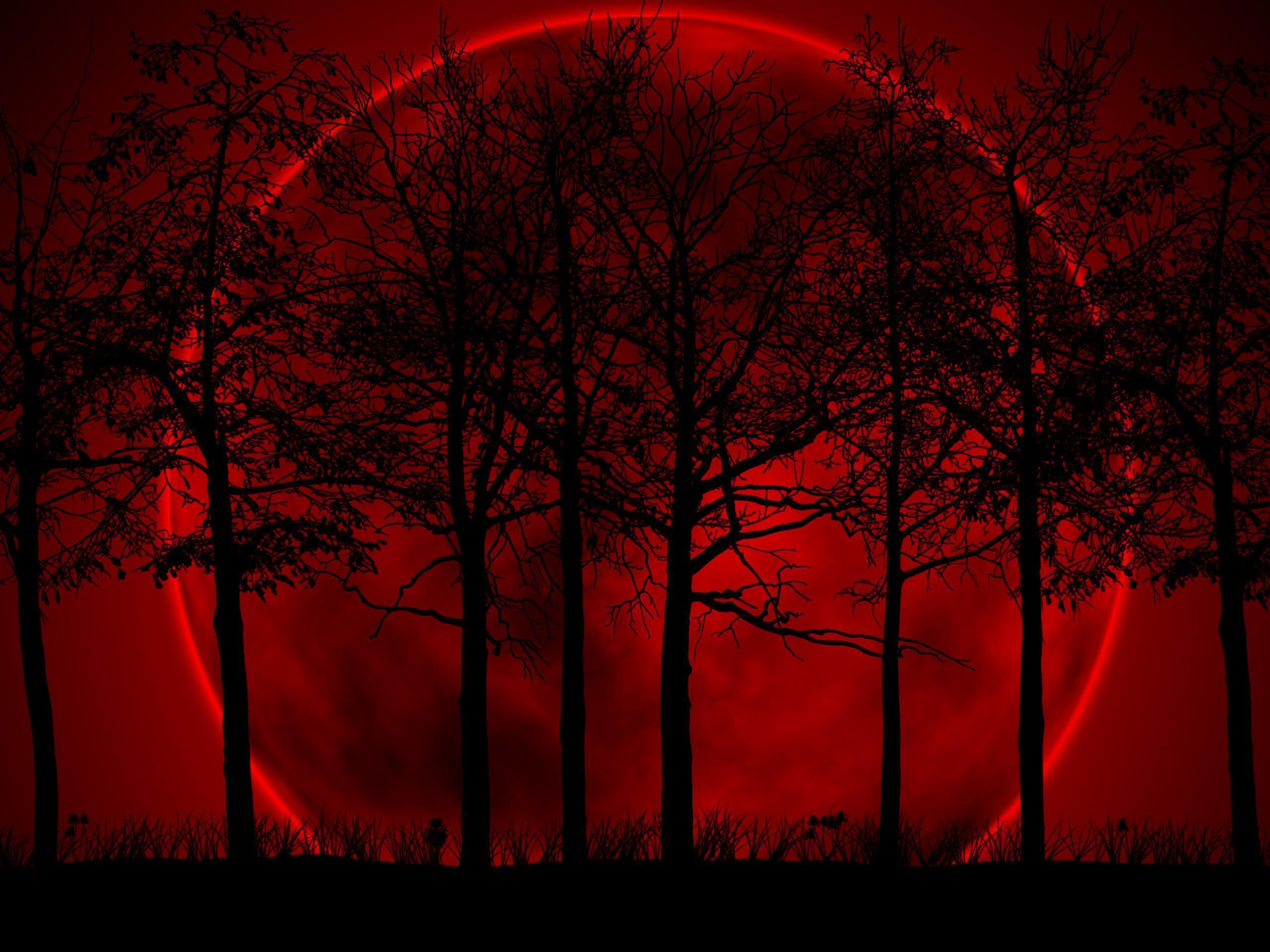 Red Trees Wallpaper