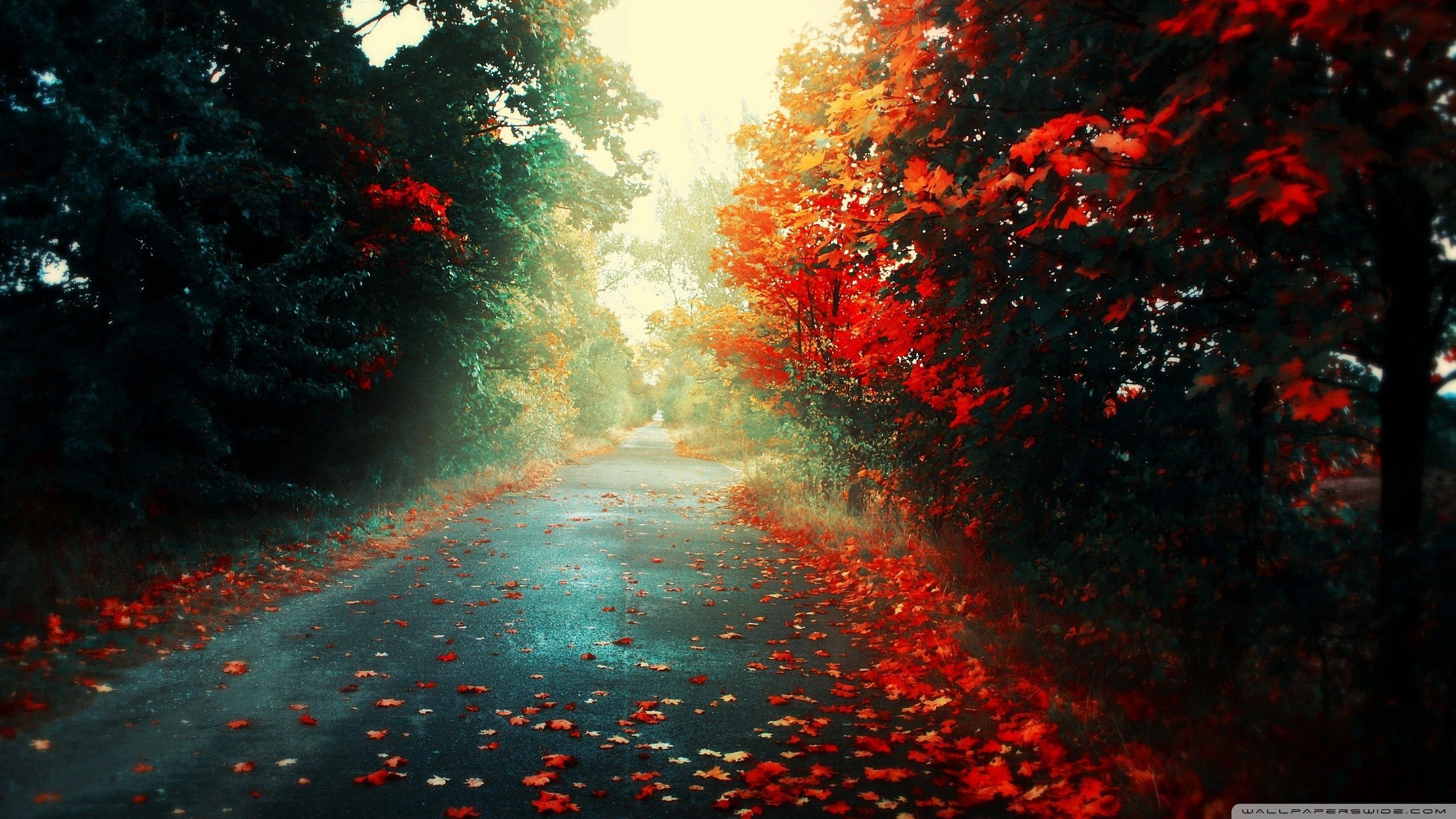 Desktop Red Trees Dark Wallpapers - Wallpaper Cave