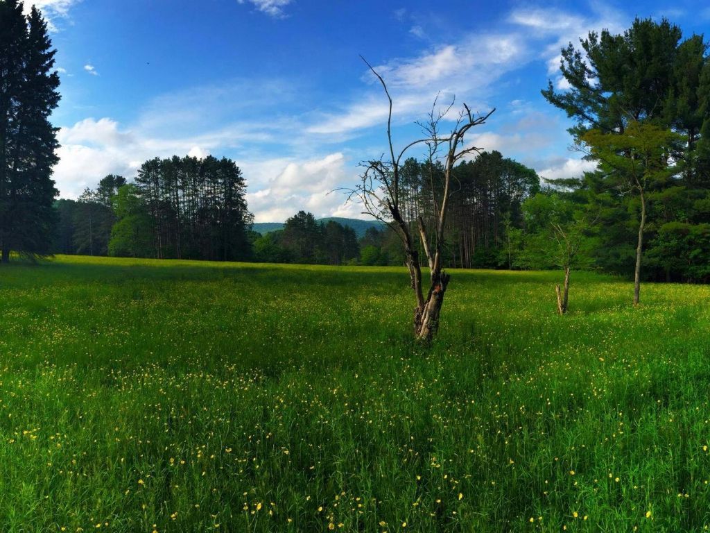 Spring USA Wallpapers - Wallpaper Cave