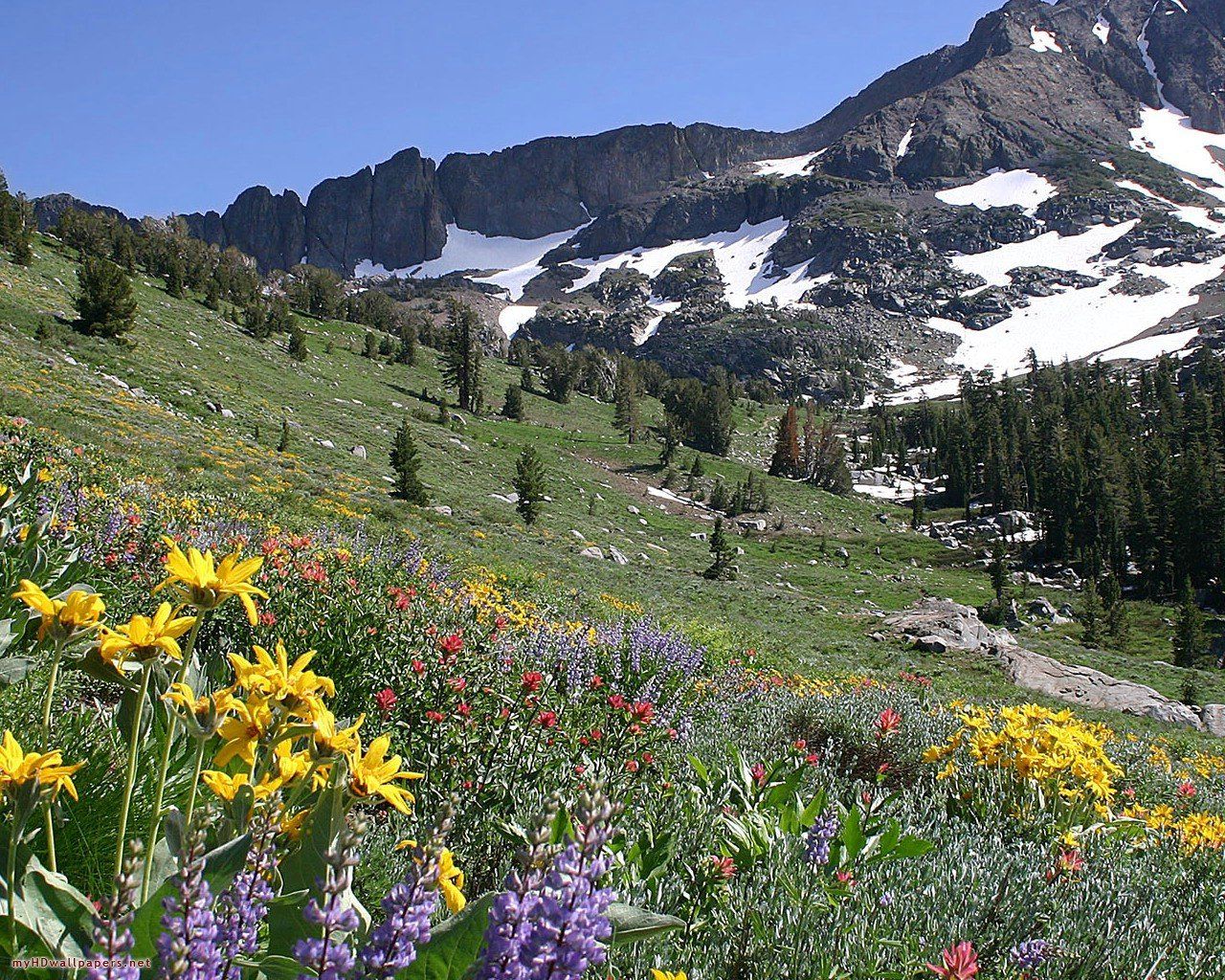 Spring Mountian Wallpapers - Wallpaper Cave