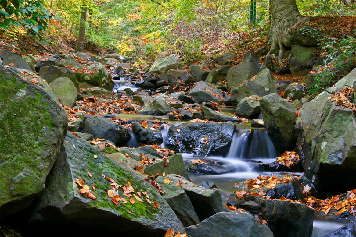 Warm Spring Forest Wallpapers - Wallpaper Cave