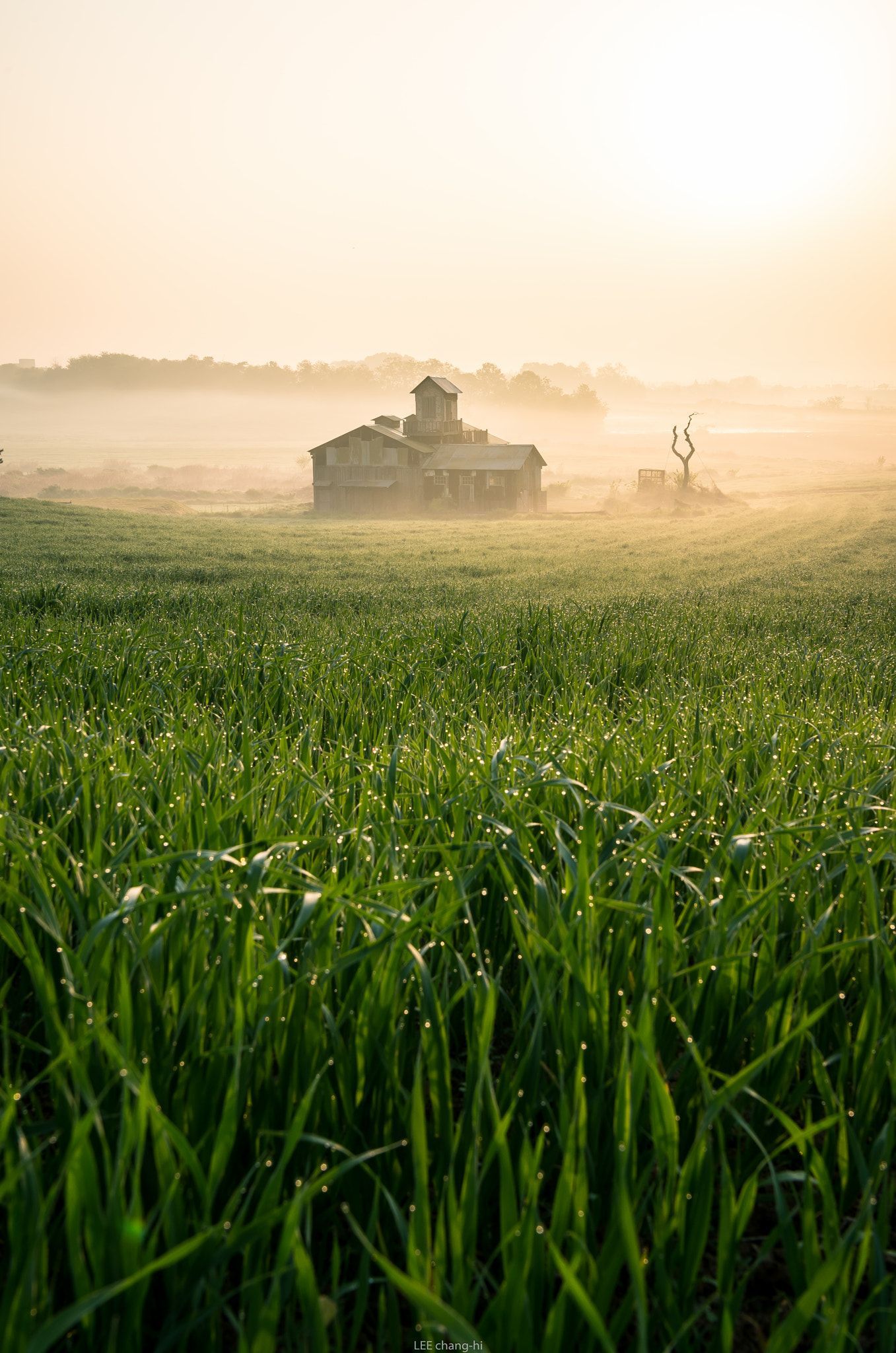 Spring Dew Wallpapers - Wallpaper Cave