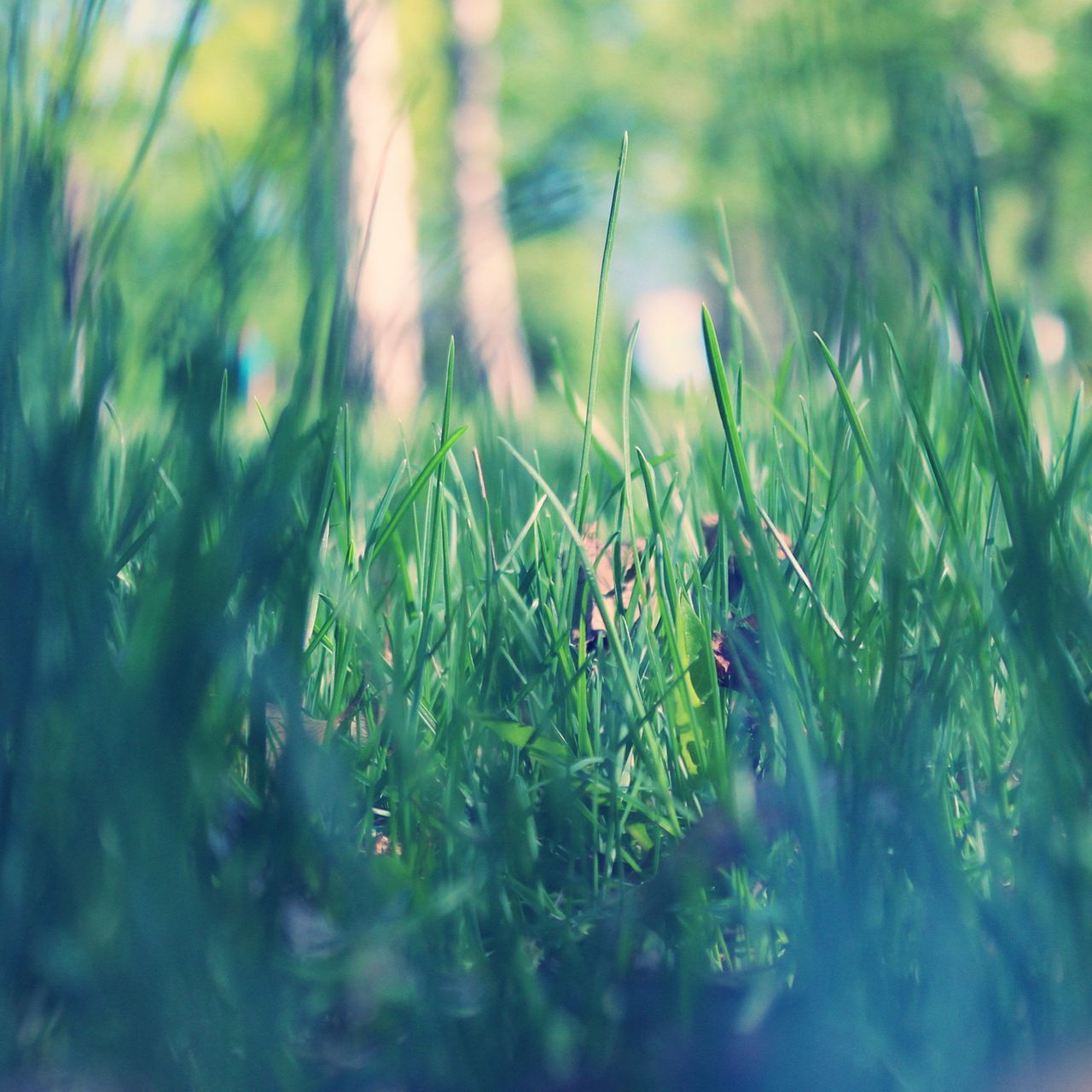 Spring Dew Wallpapers - Wallpaper Cave