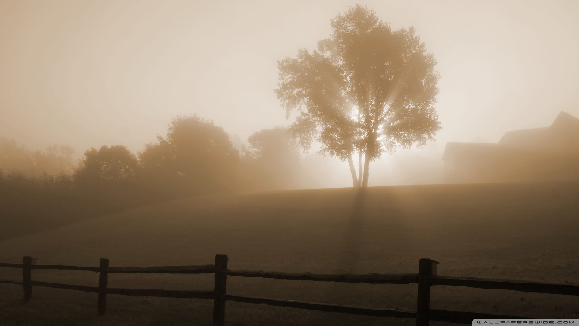 Morning Fog Wallpapers - Wallpaper Cave