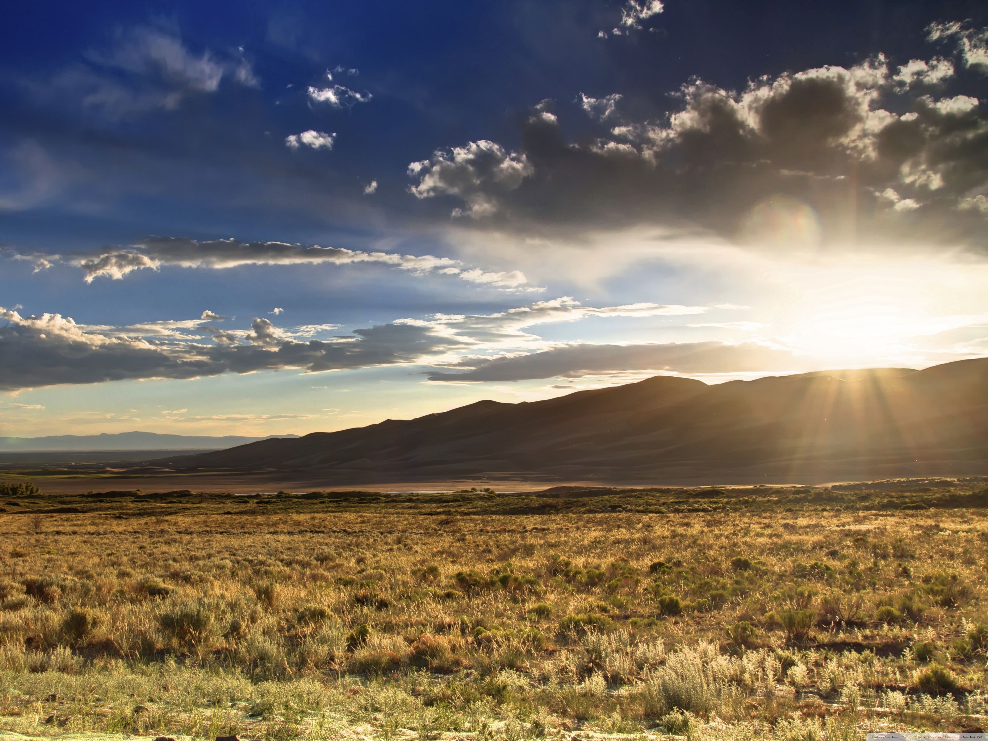 Clarity Wallpapers - Wallpaper Cave