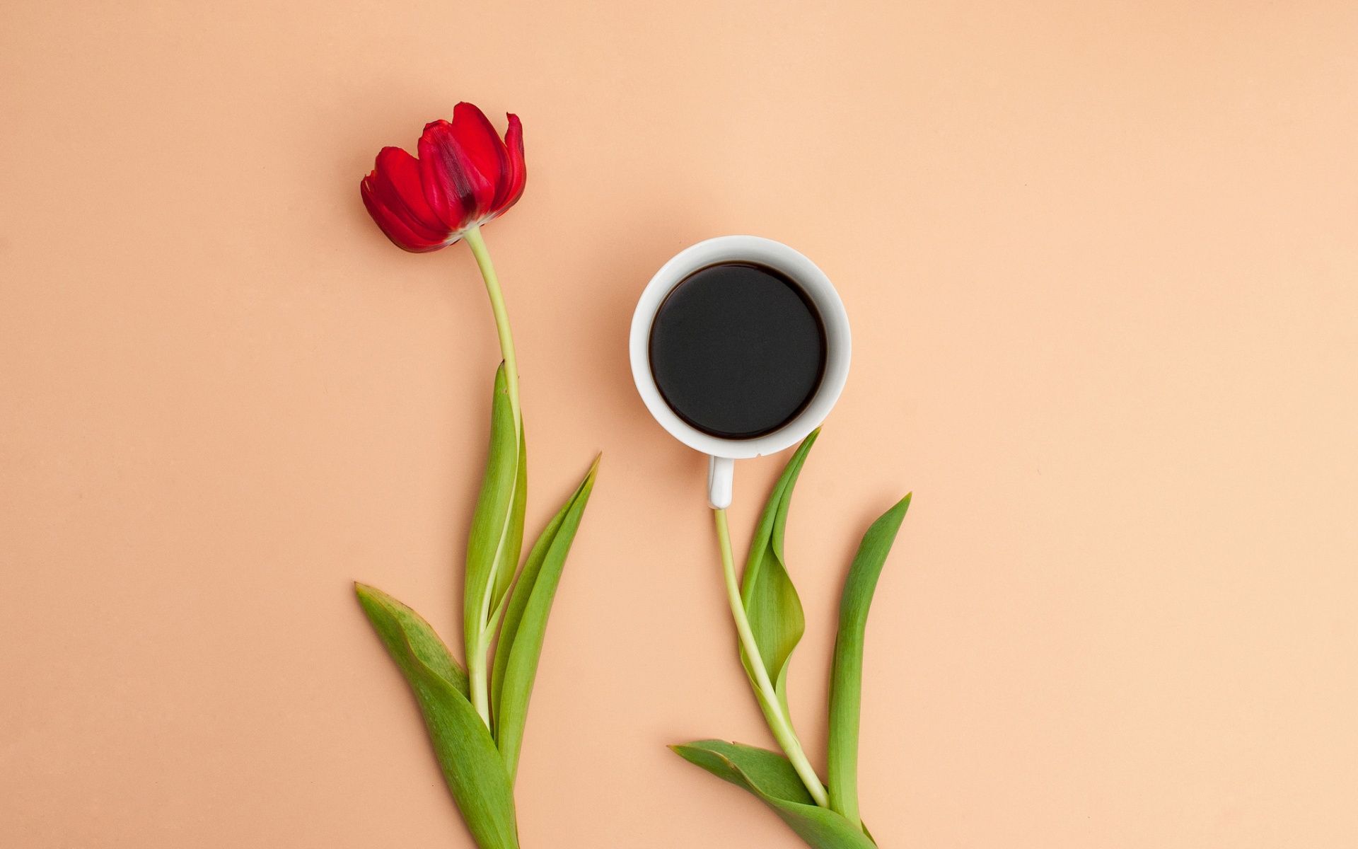 Coffee Spring Wallpapers - Wallpaper Cave