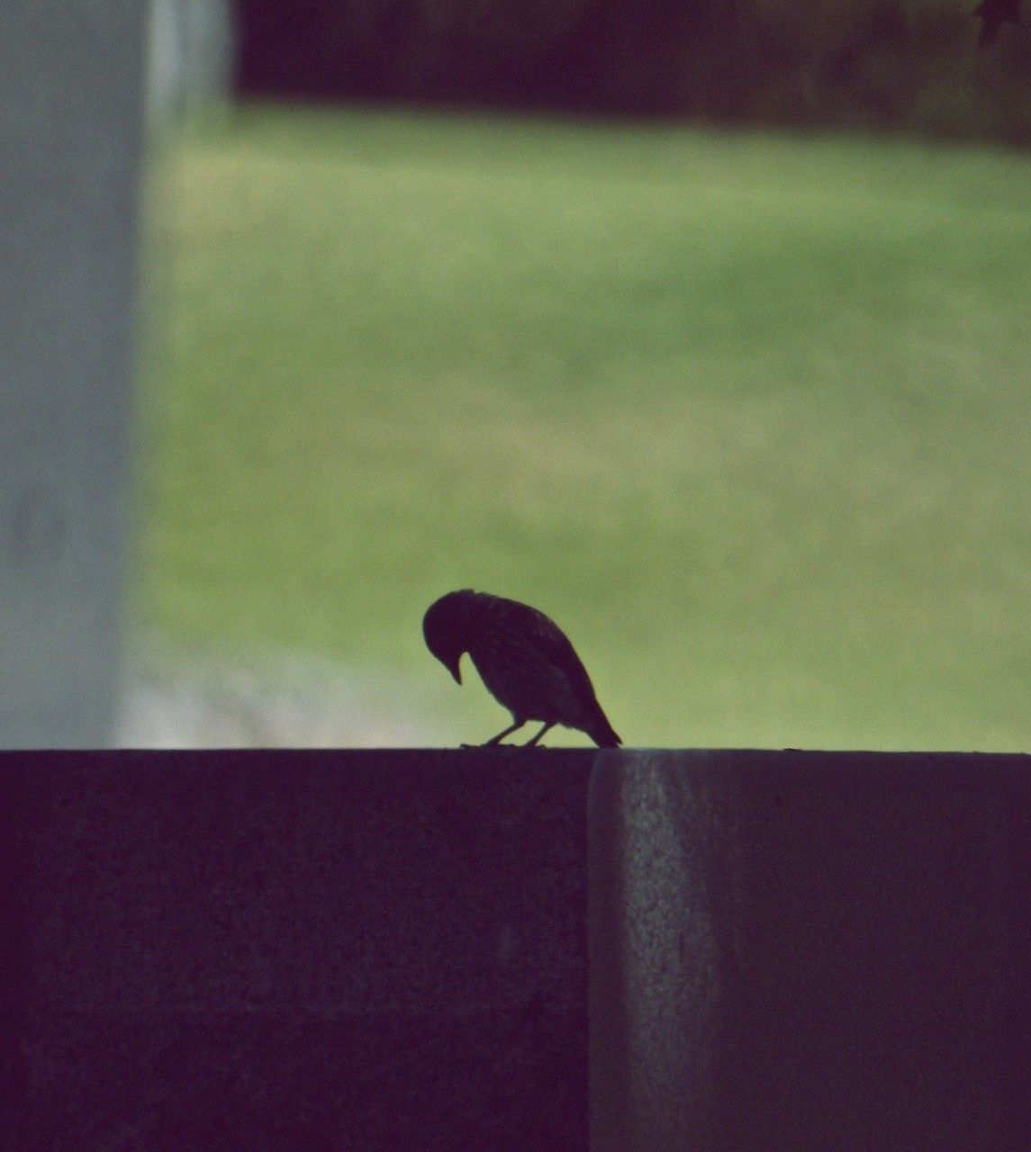 Surrender Wallpapers - Wallpaper Cave