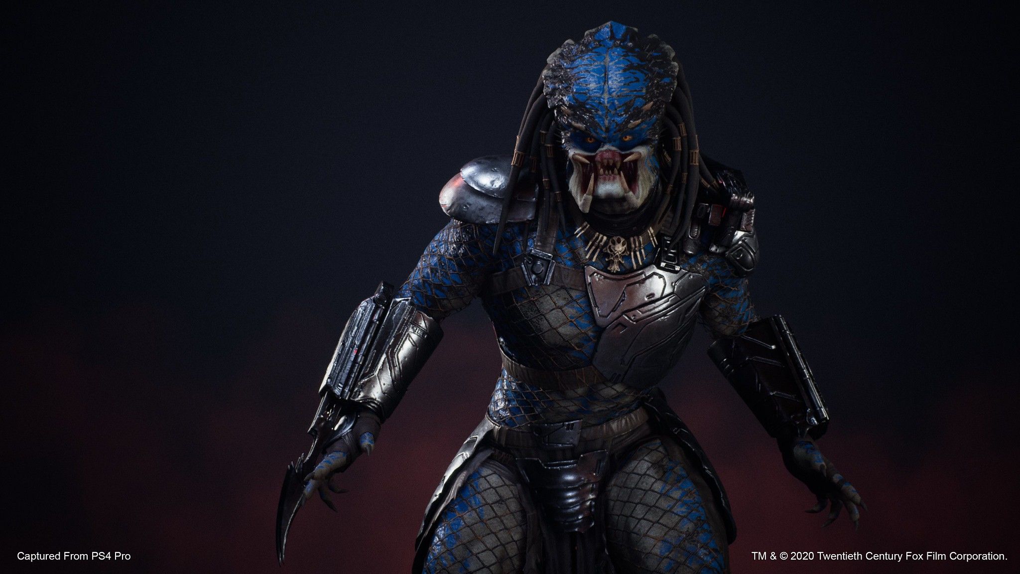 Alpha Predator Wallpapers - Wallpaper Cave