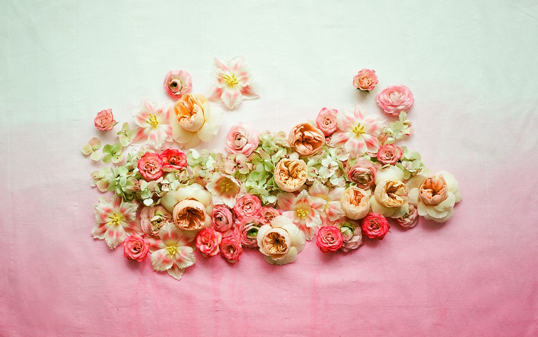 Spring Feast Wallpapers - Wallpaper Cave