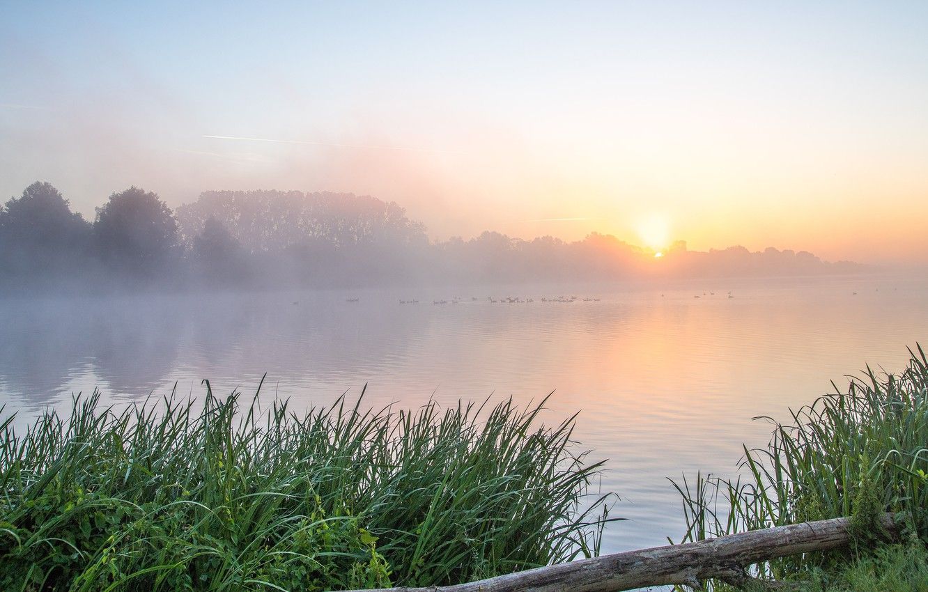 Morning Haze Wallpapers - Wallpaper Cave