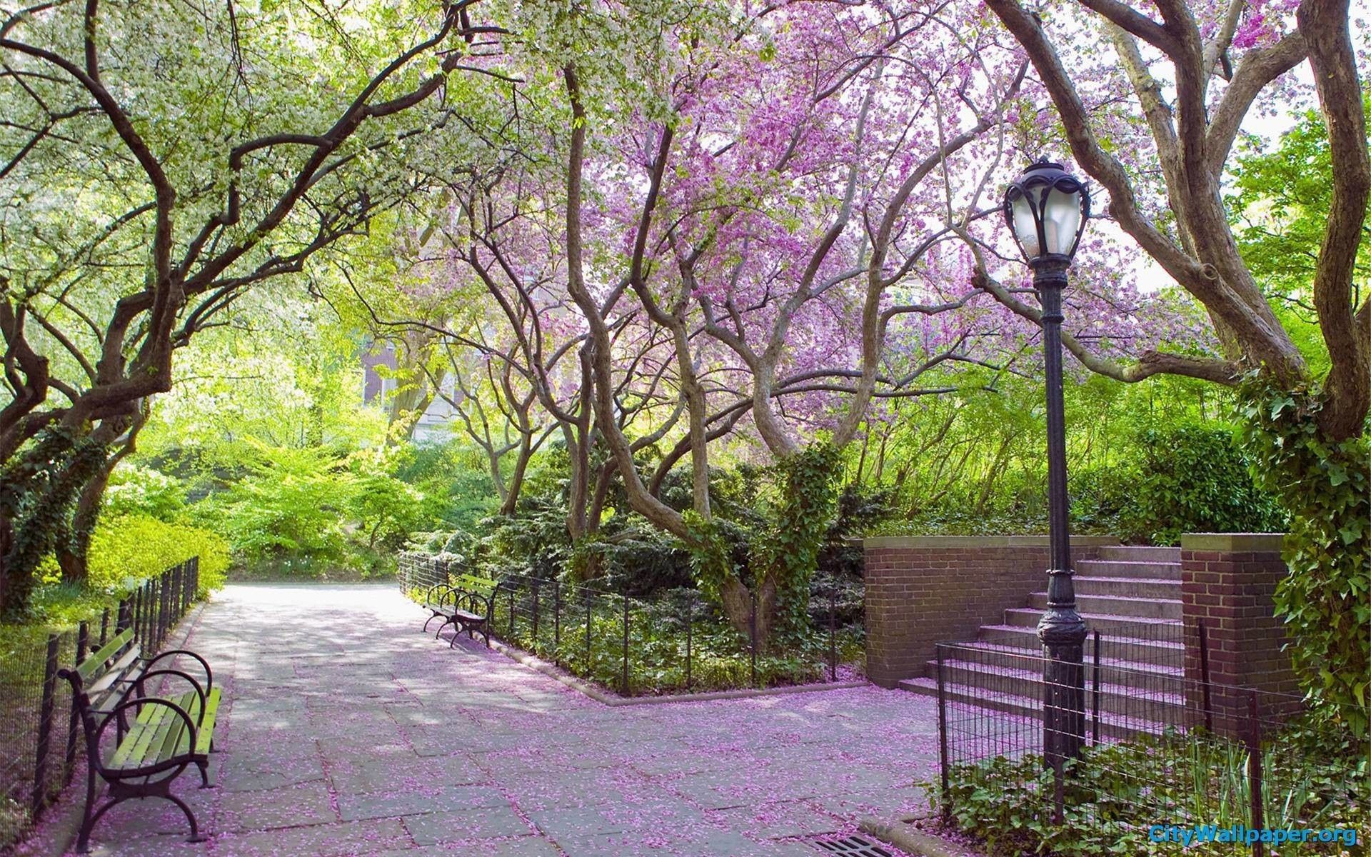 Spring Willow Wallpapers - Wallpaper Cave