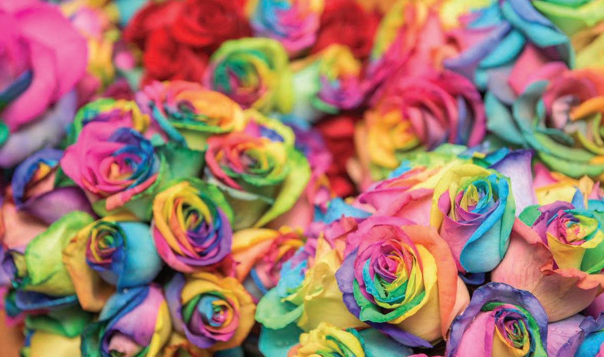 Tie Dye Roses Wallpapers - Wallpaper Cave