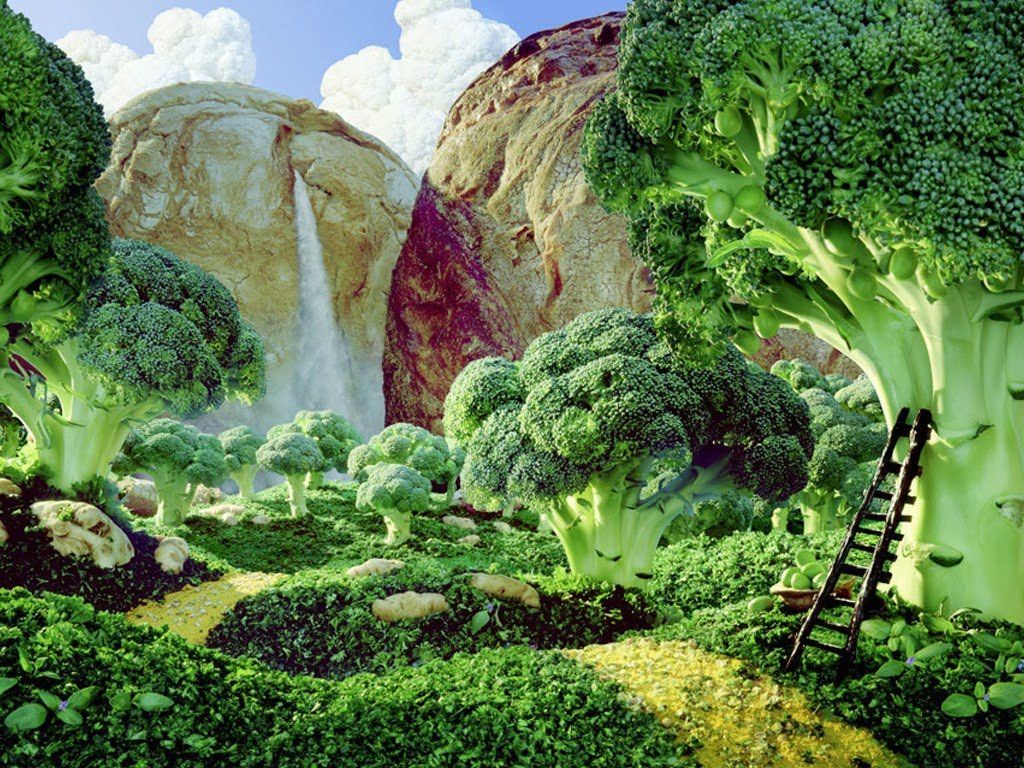 Vegetable Garden Wallpapers - Wallpaper Cave