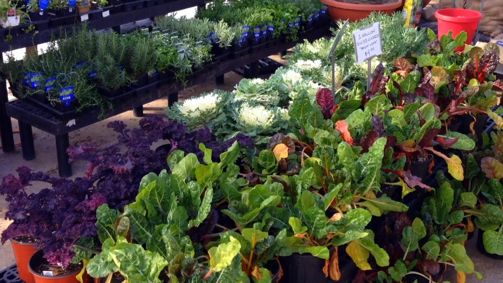 Vegetable Garden Wallpapers - Wallpaper Cave