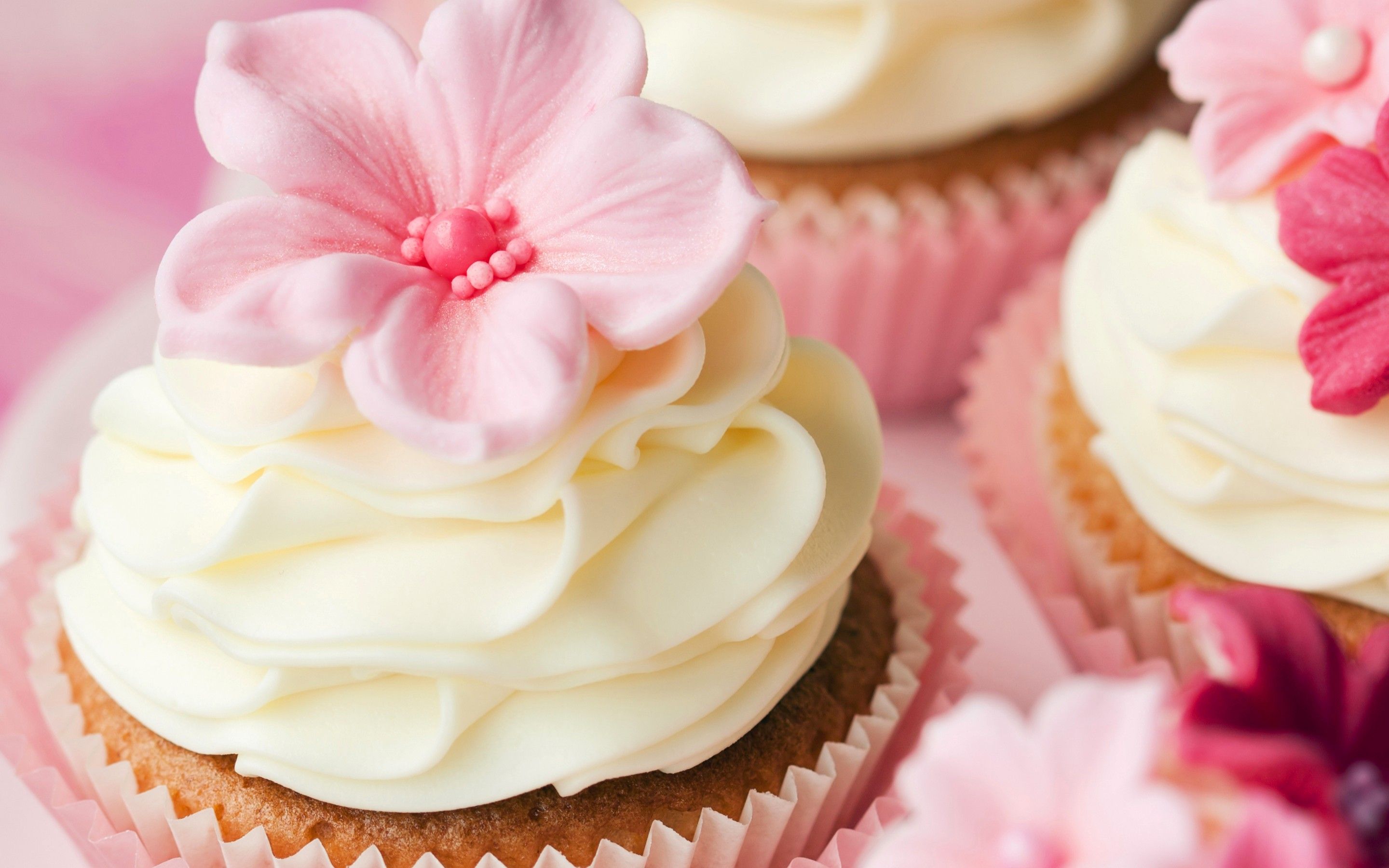 Spring Cupcakes Wallpapers - Wallpaper Cave