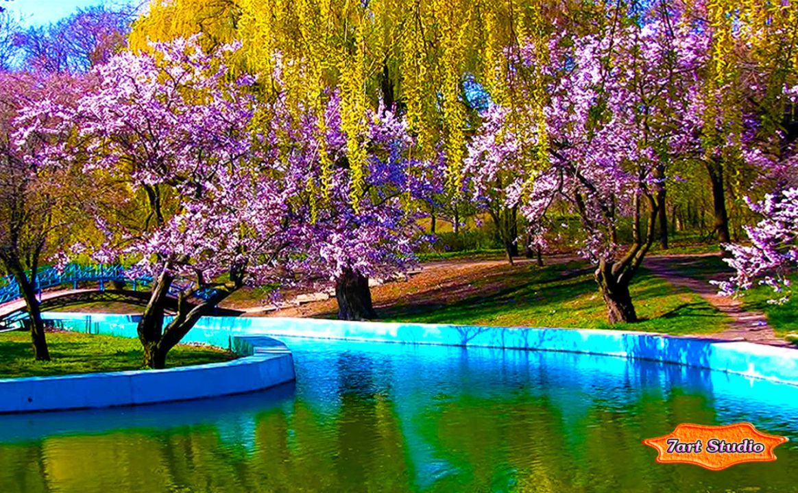 Spring Park Water Wallpapers - Wallpaper Cave
