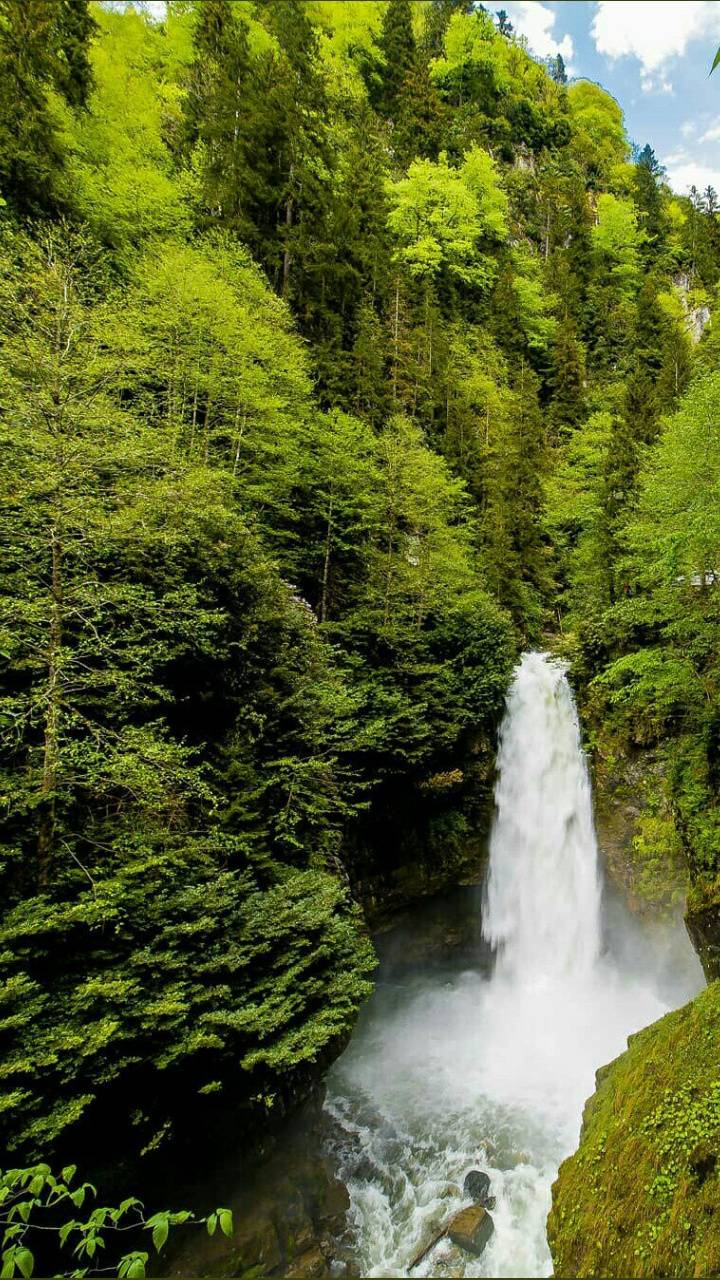 Spring Park Water Wallpapers - Wallpaper Cave