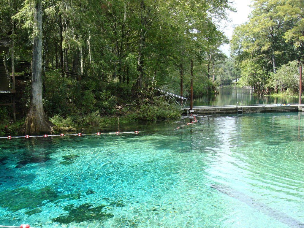 Spring Park Water Wallpapers - Wallpaper Cave