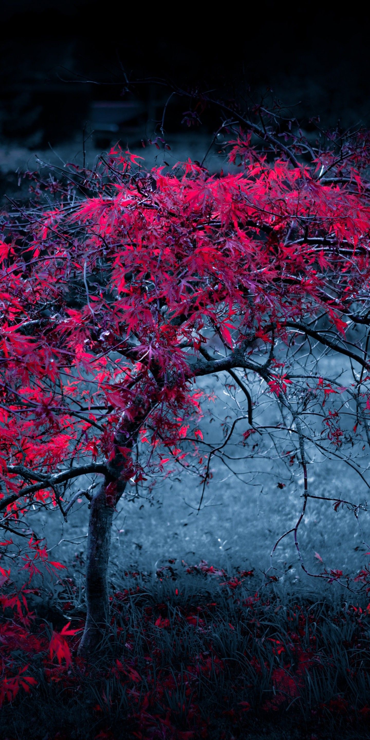 Vertical Spring Wallpapers - Wallpaper Cave