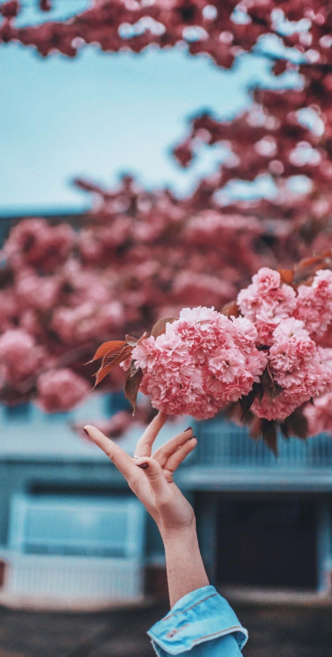 Vertical Spring Wallpapers - Wallpaper Cave