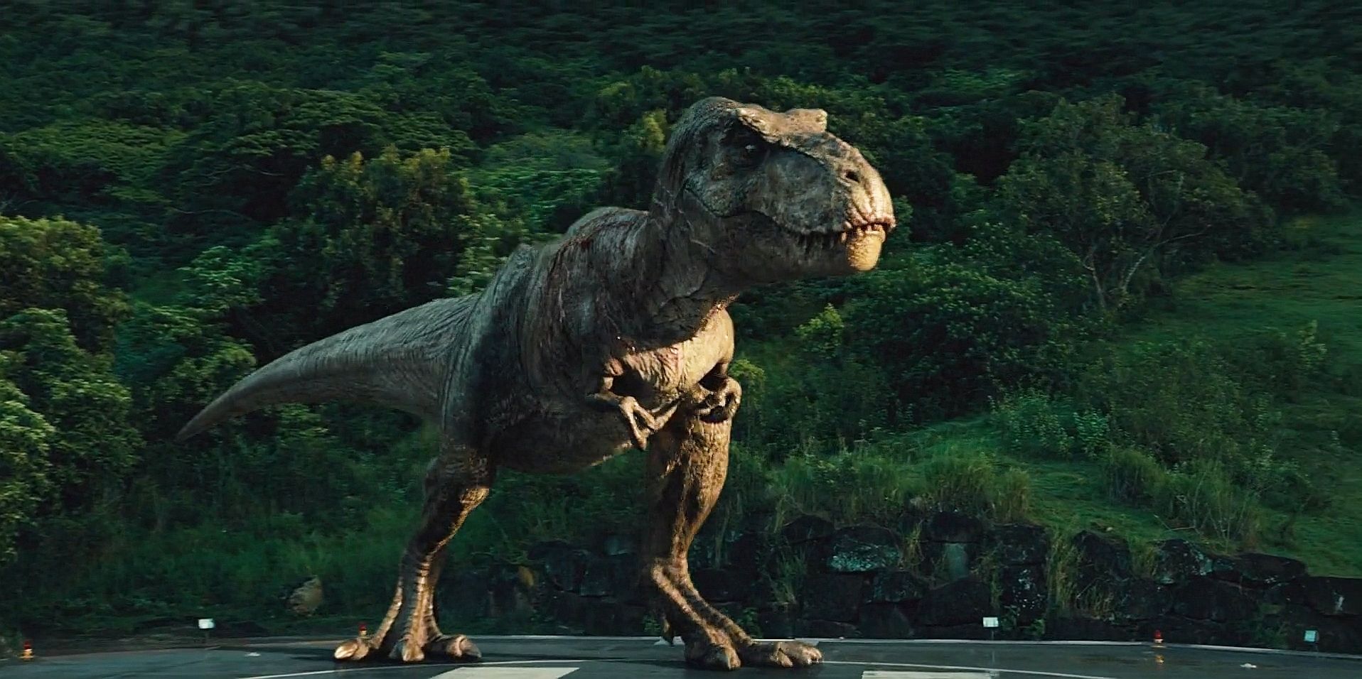 Jurassic World T Rex Wallpapers Wallpaper Cave Jurassic World T Rex Wallpapers Wallpaper Cave