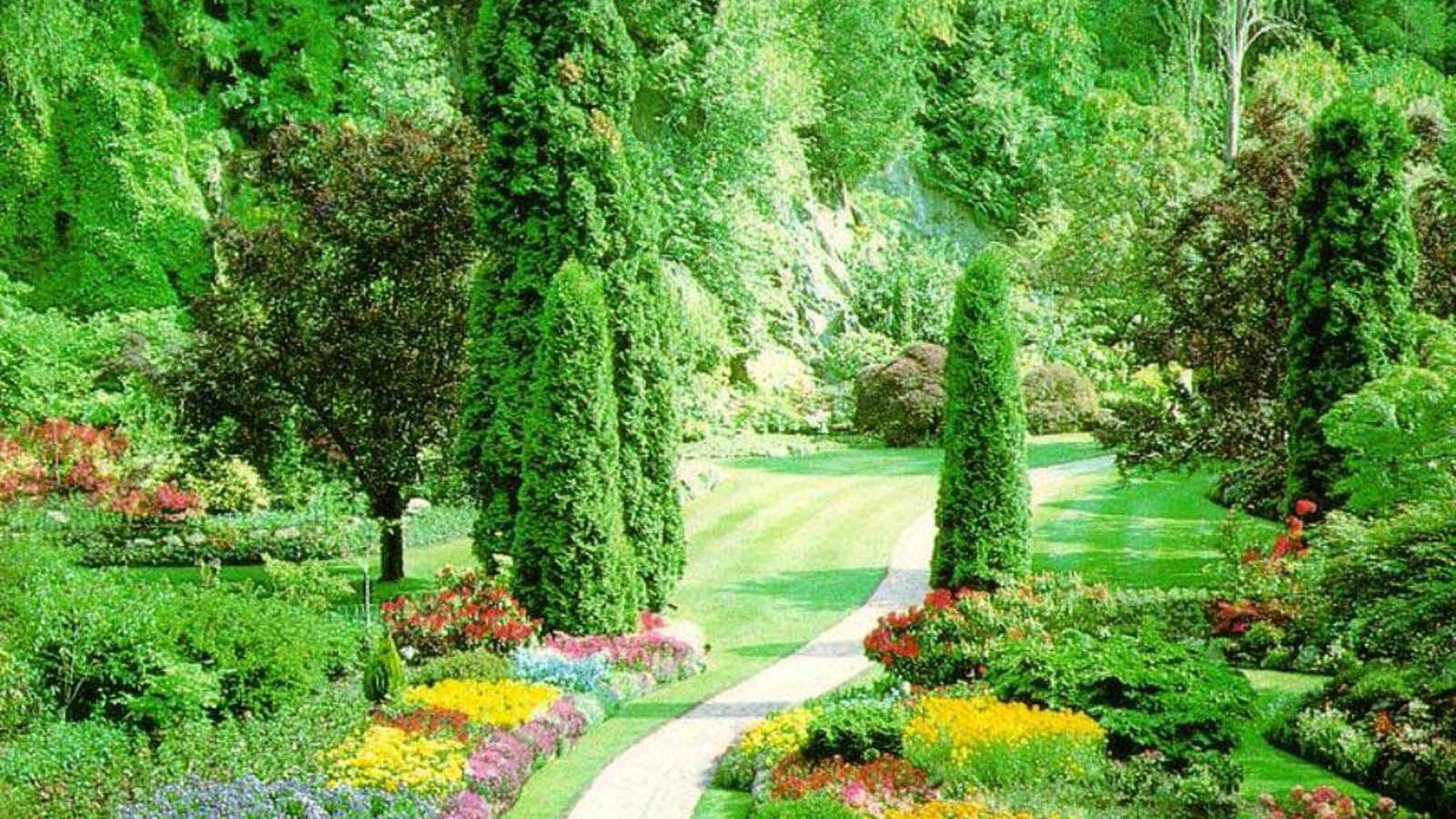 Spring Portrait Wallpapers - Wallpaper Cave