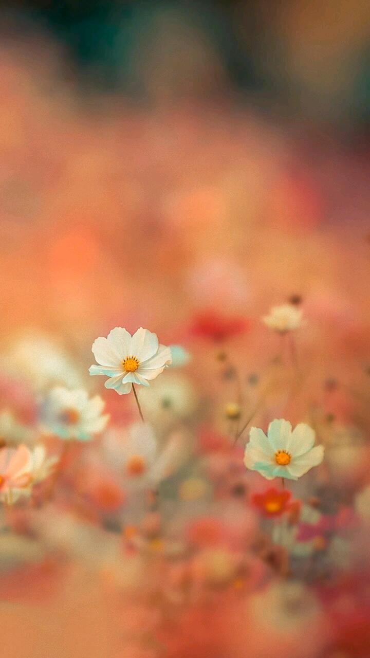 Spring Portrait Wallpapers - Wallpaper Cave