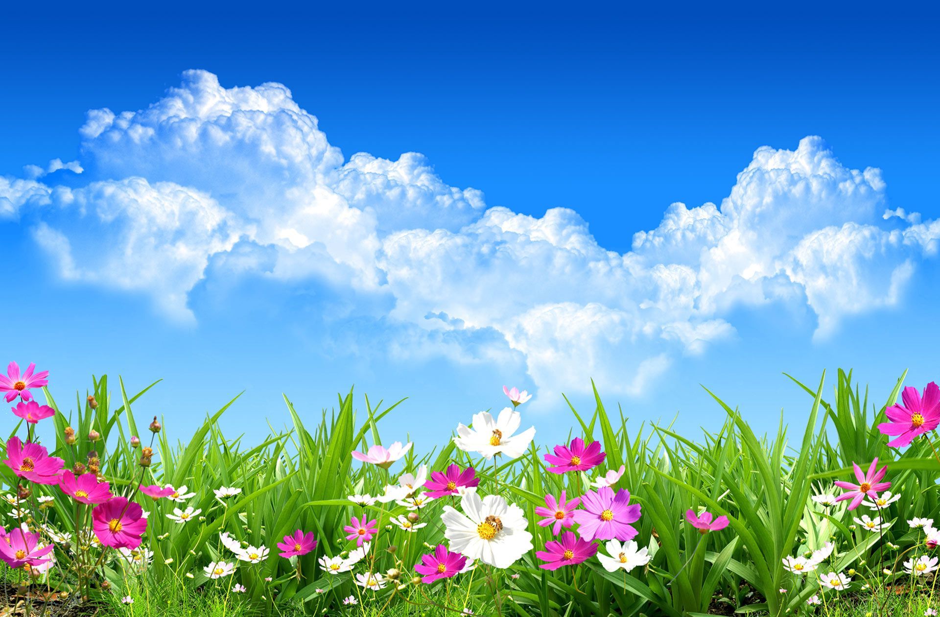 Spring Portrait Wallpapers - Wallpaper Cave