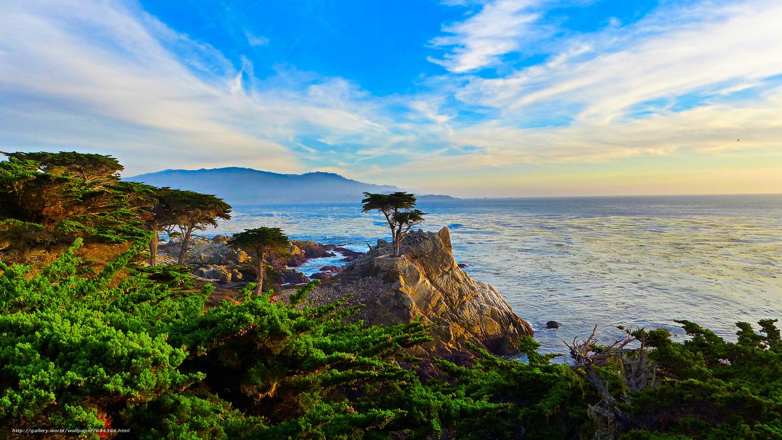 Lone Cypress Wallpapers - Wallpaper Cave