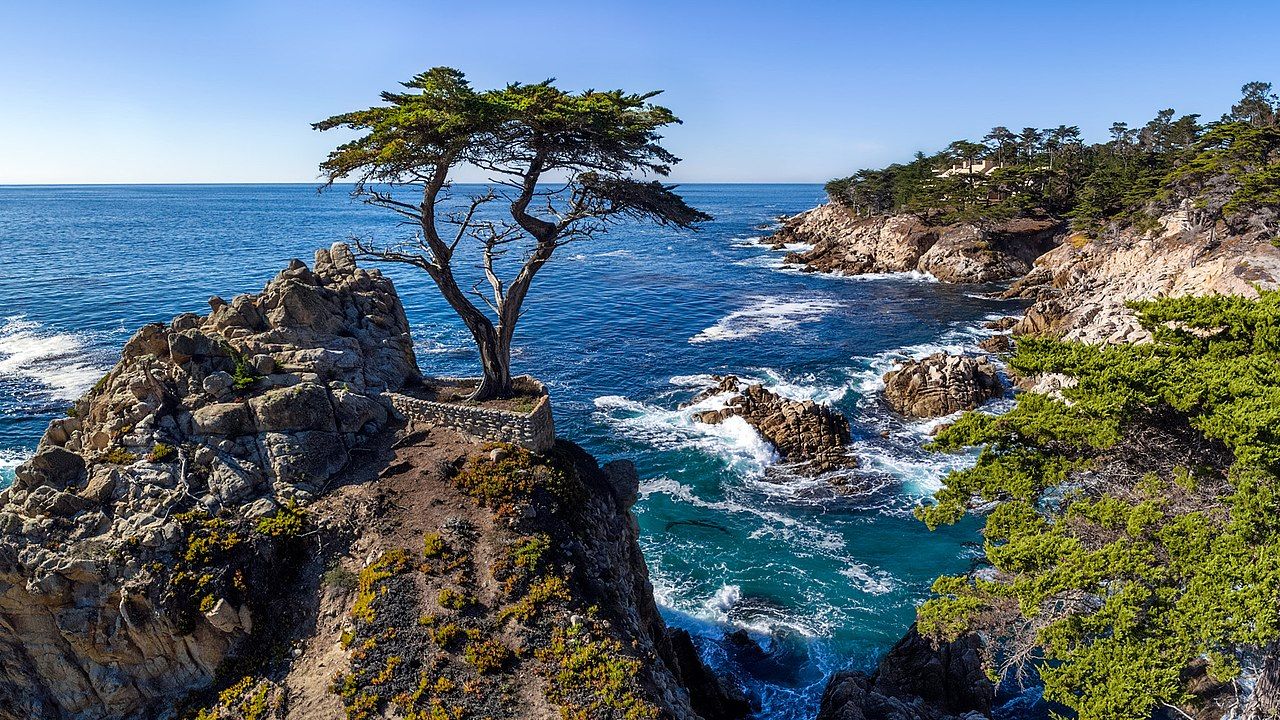 Lone Cypress Wallpapers - Wallpaper Cave