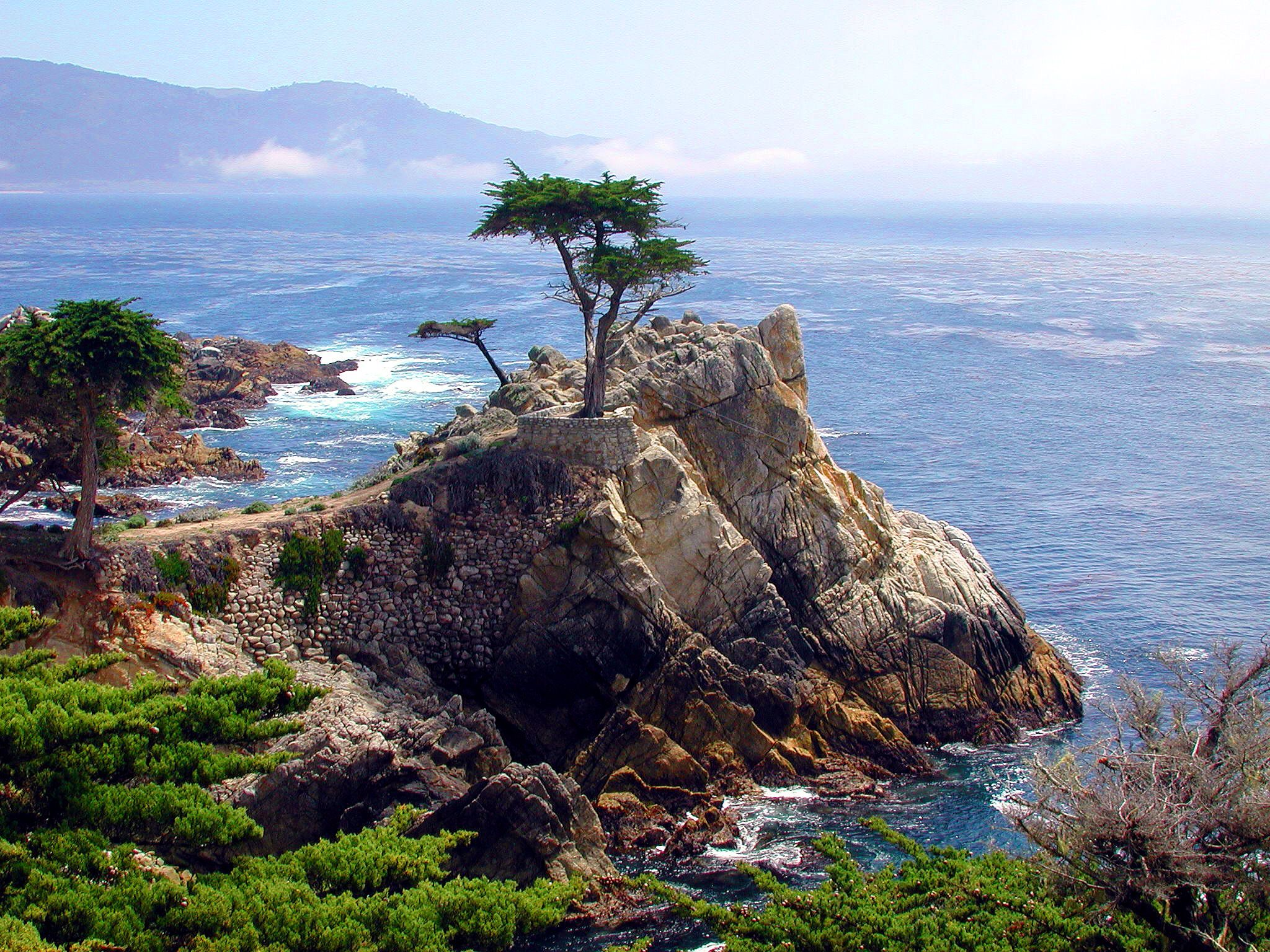 Lone Cypress Wallpapers - Wallpaper Cave