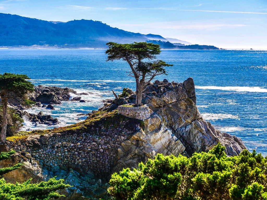 Lone Cypress Wallpapers - Wallpaper Cave