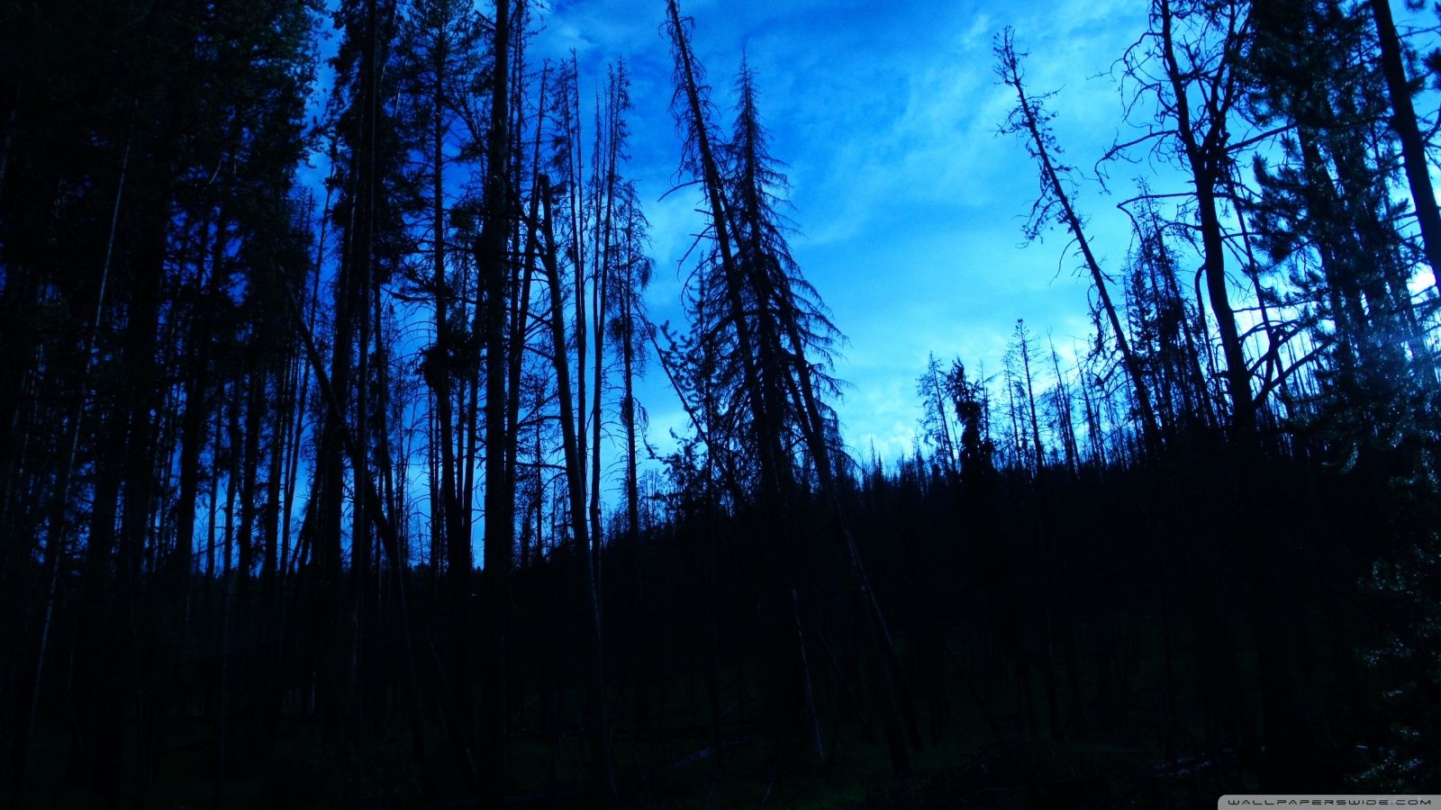 Blue Themed Wallpapers - Wallpaper Cave