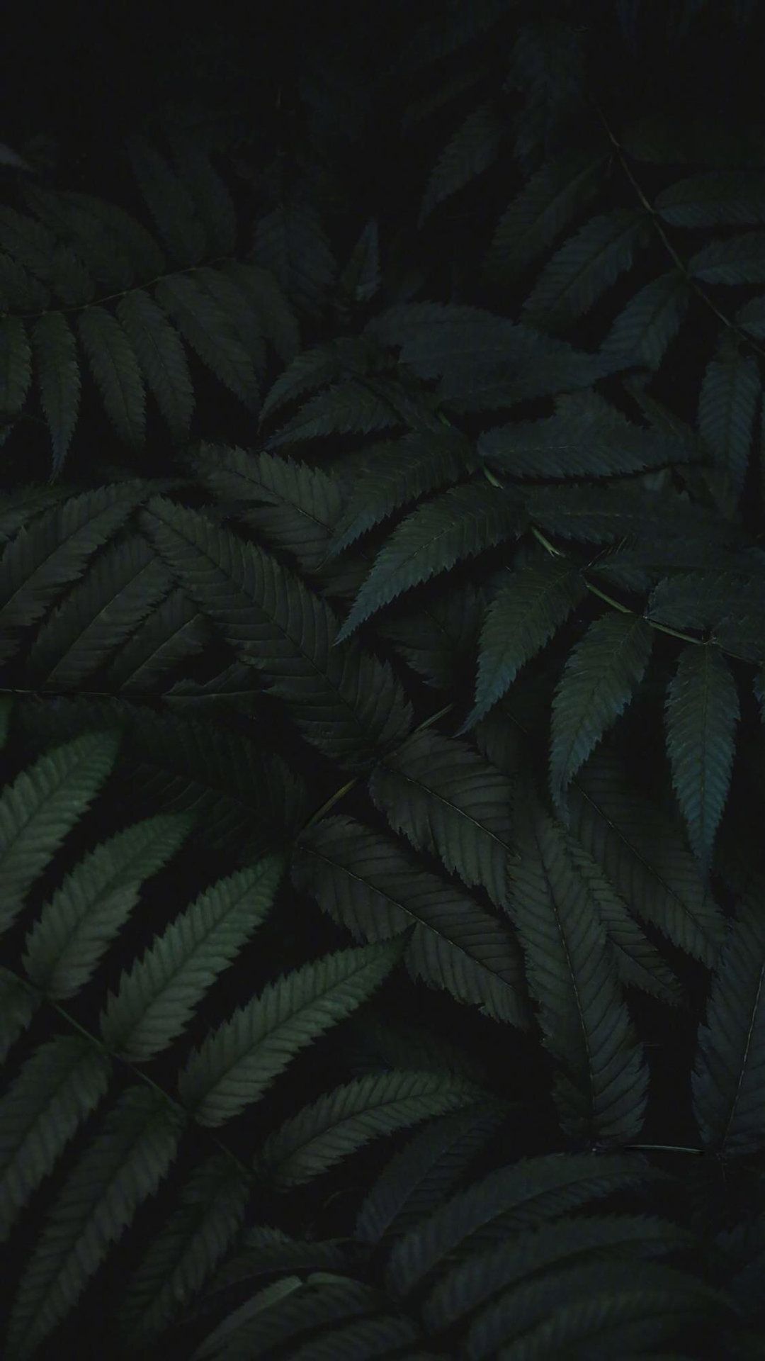 Eye Protection Wallpapers - Wallpaper Cave