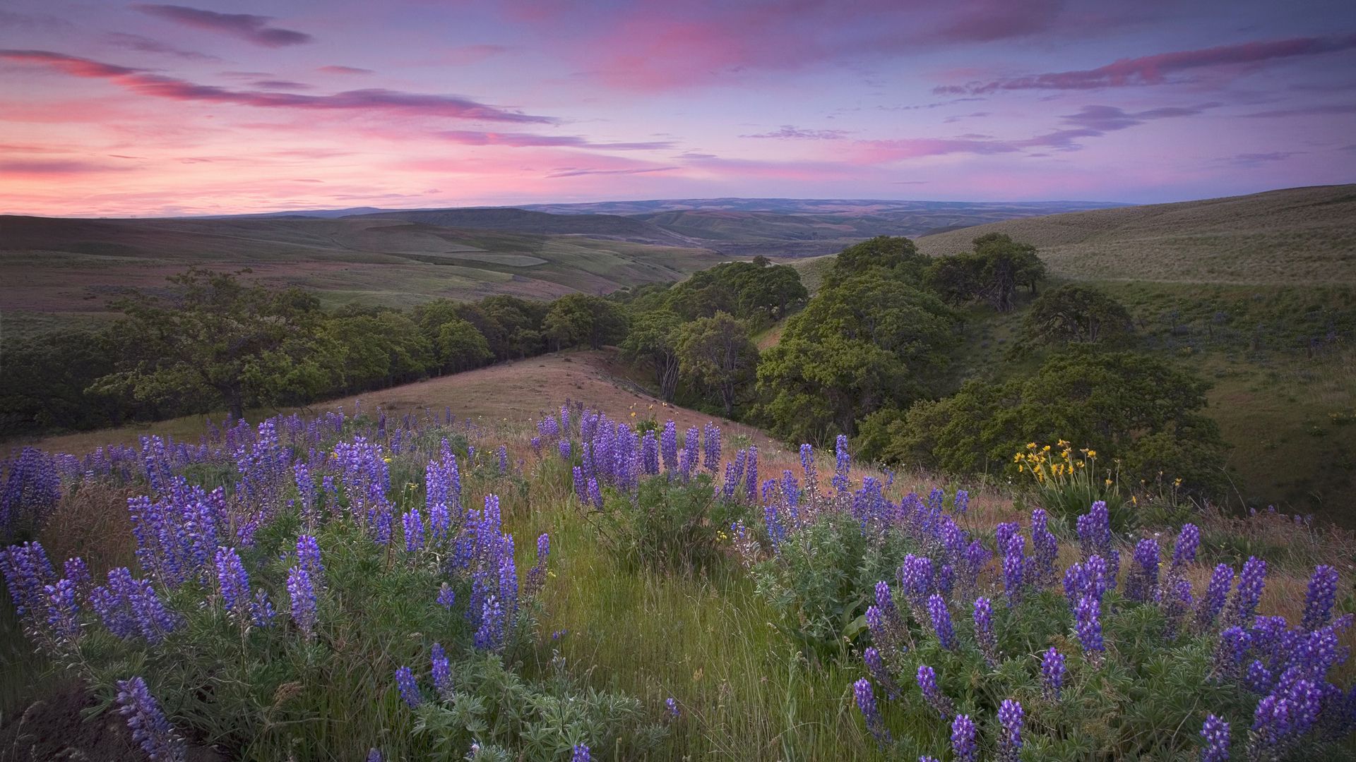 Spring Sunrise Wallpapers - Wallpaper Cave