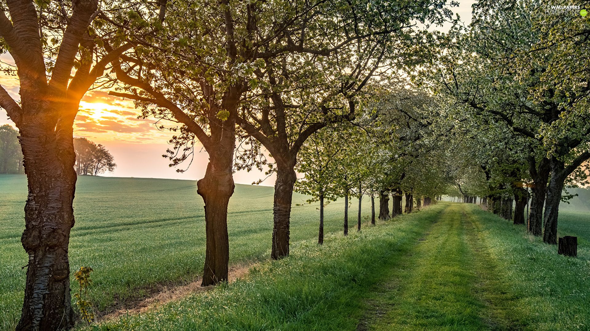 Sunrise Spring Wallpapers - Wallpaper Cave