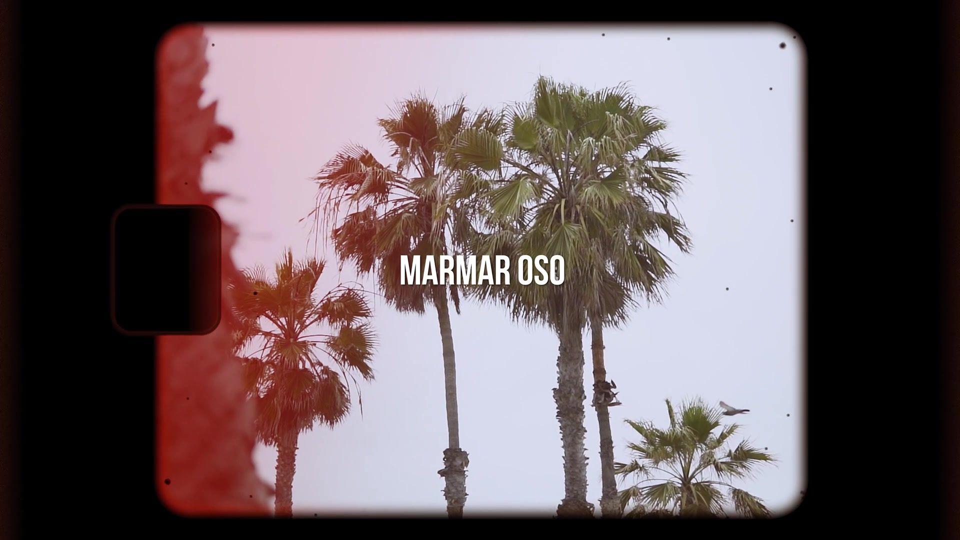 MarMar Oso Wallpapers - Wallpaper Cave