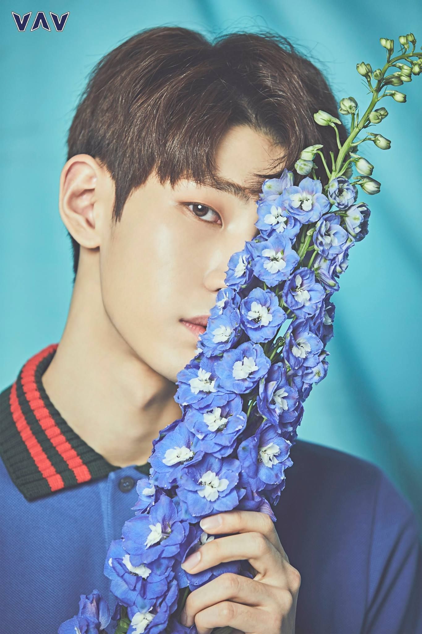 VAV Lou Wallpapers - Wallpaper Cave