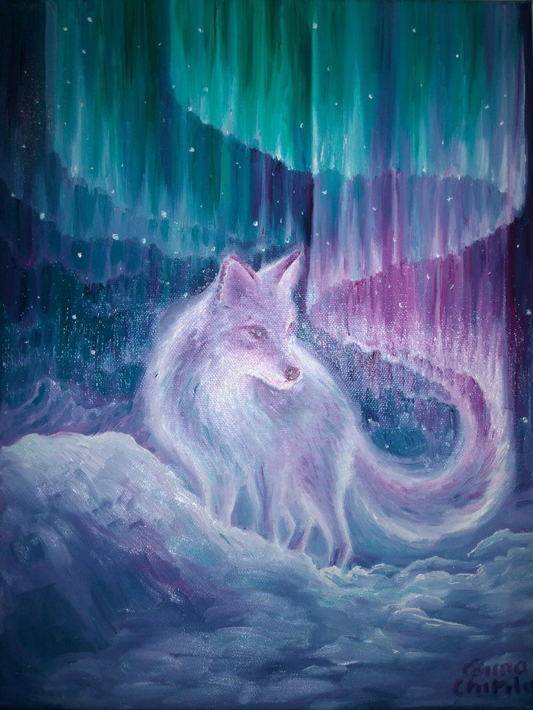 Northern Lights Fox Wallpapers - Wallpaper Cave