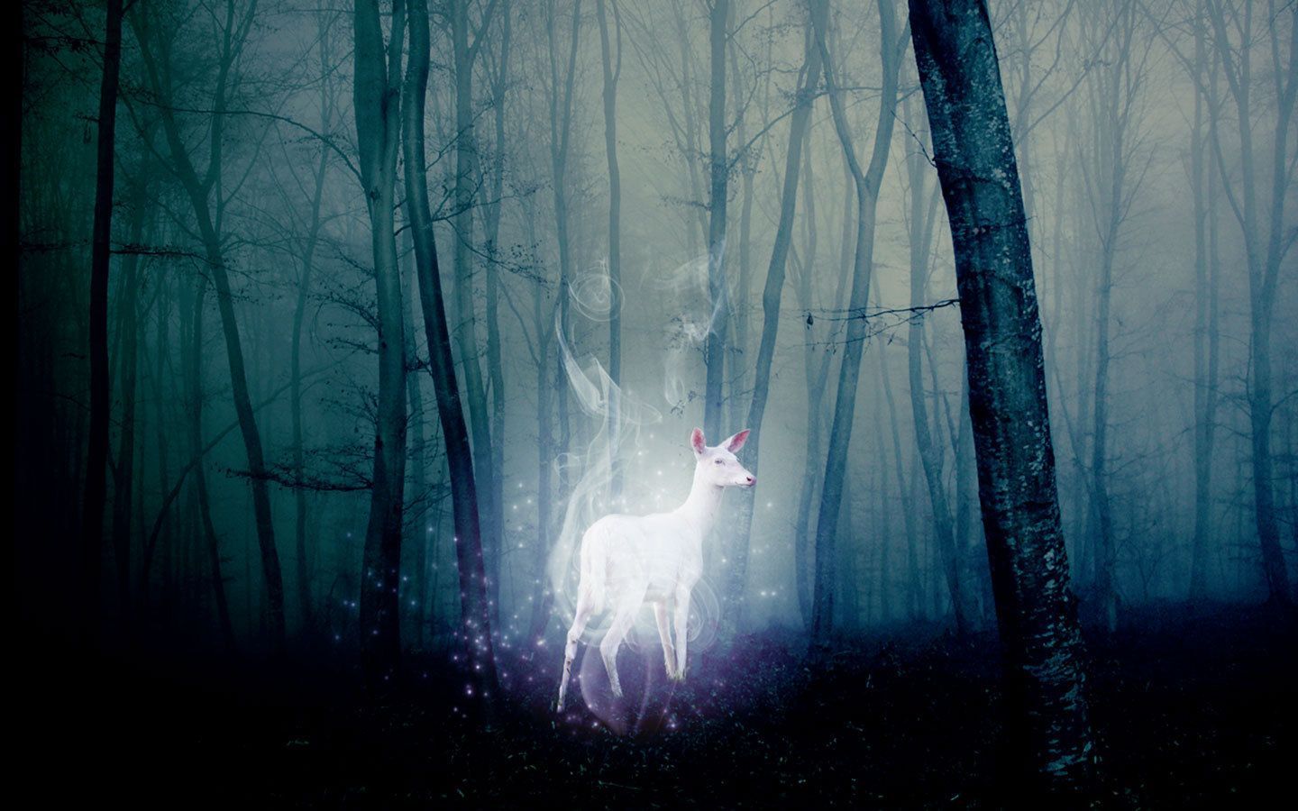 The Forbidden Forest Harry Potter Wallpapers - Wallpaper Cave