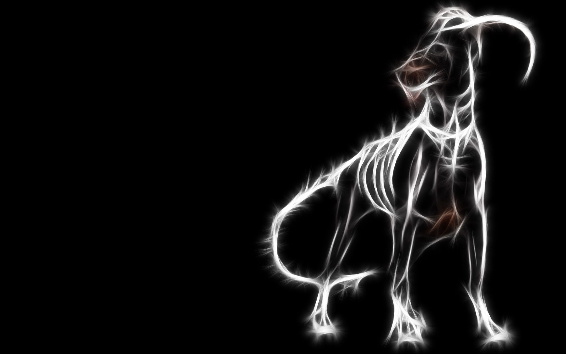 Houndoom V Wallpapers - Wallpaper Cave