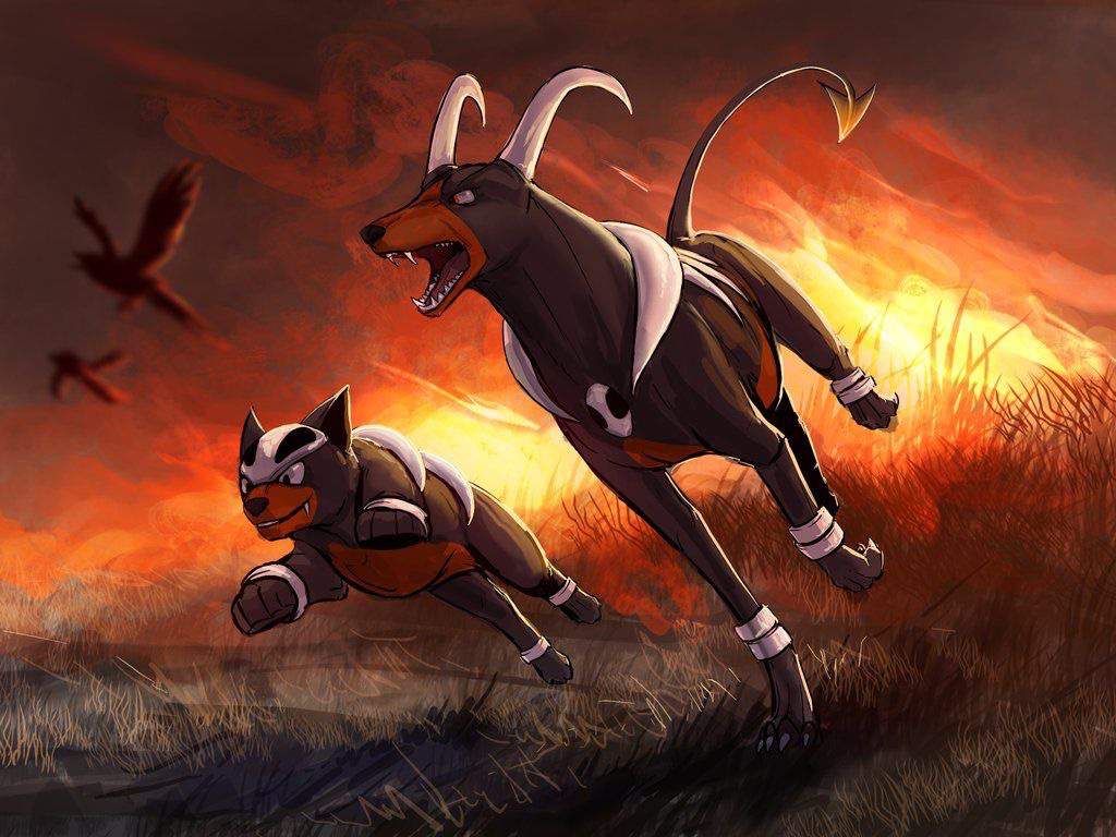 Houndoom V Wallpapers - Wallpaper Cave
