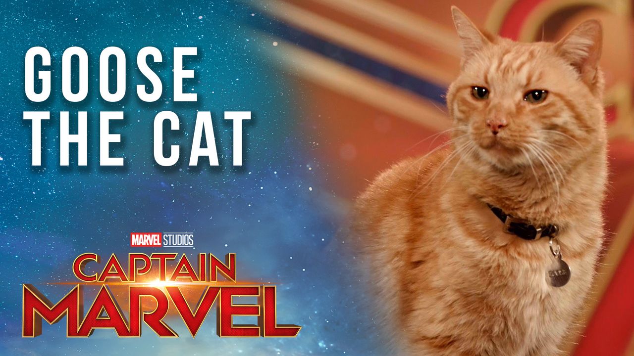 Captain Marvel Goose Wallpapers - Wallpaper Cave