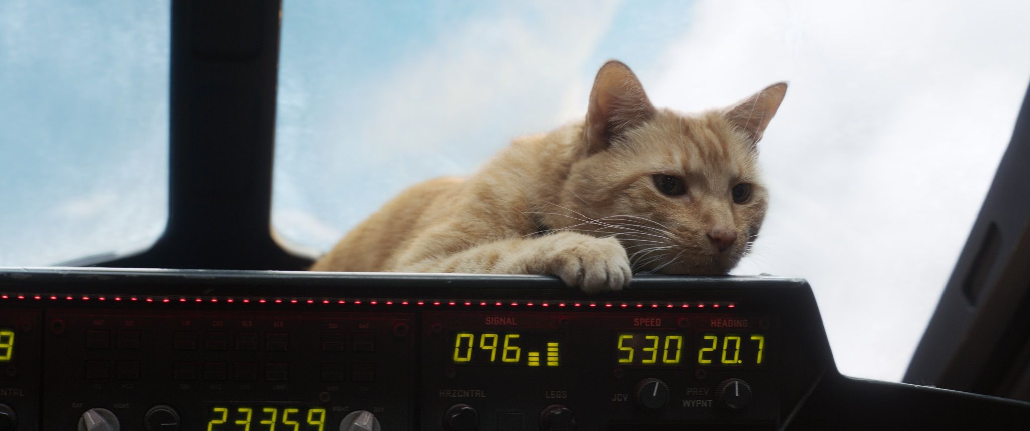 Captain Marvel Goose Wallpapers - Wallpaper Cave