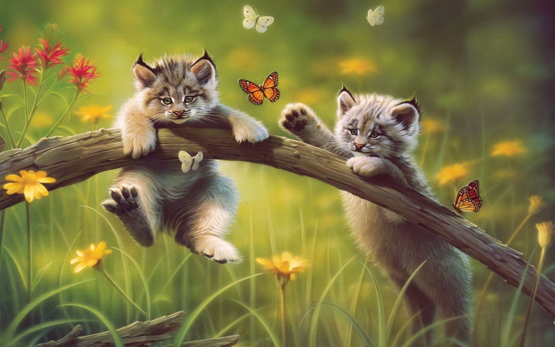 Kitten Spring Wallpapers - Wallpaper Cave