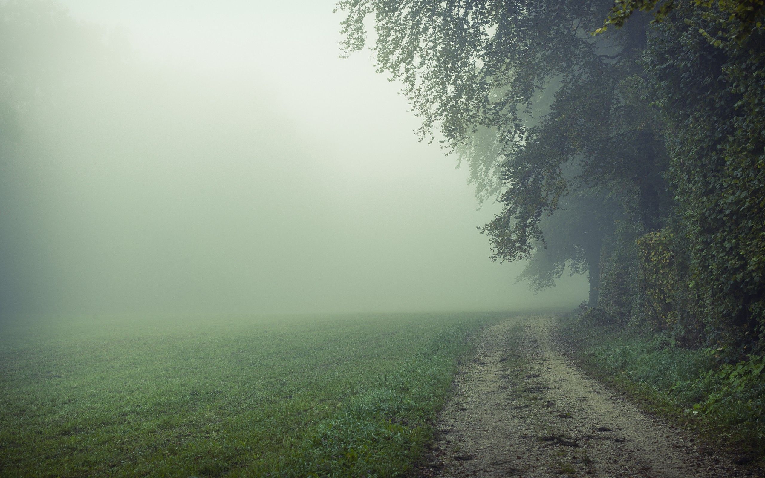 Foggy Morning Wallpapers Wallpaper Cave Foggy Morning Wallpapers Wallpaper Cave
